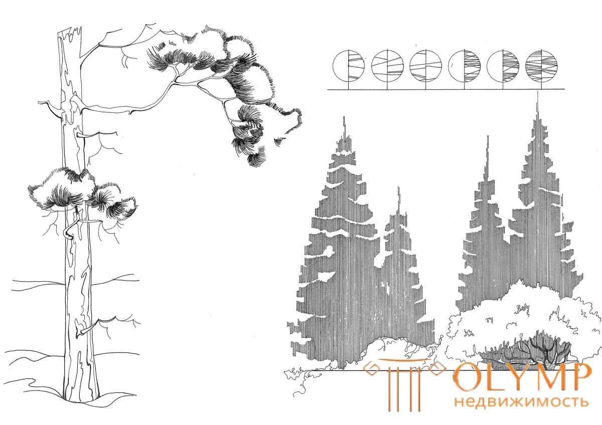 Антураж и стаффаж в архитектурном проектировании. Примеры и...